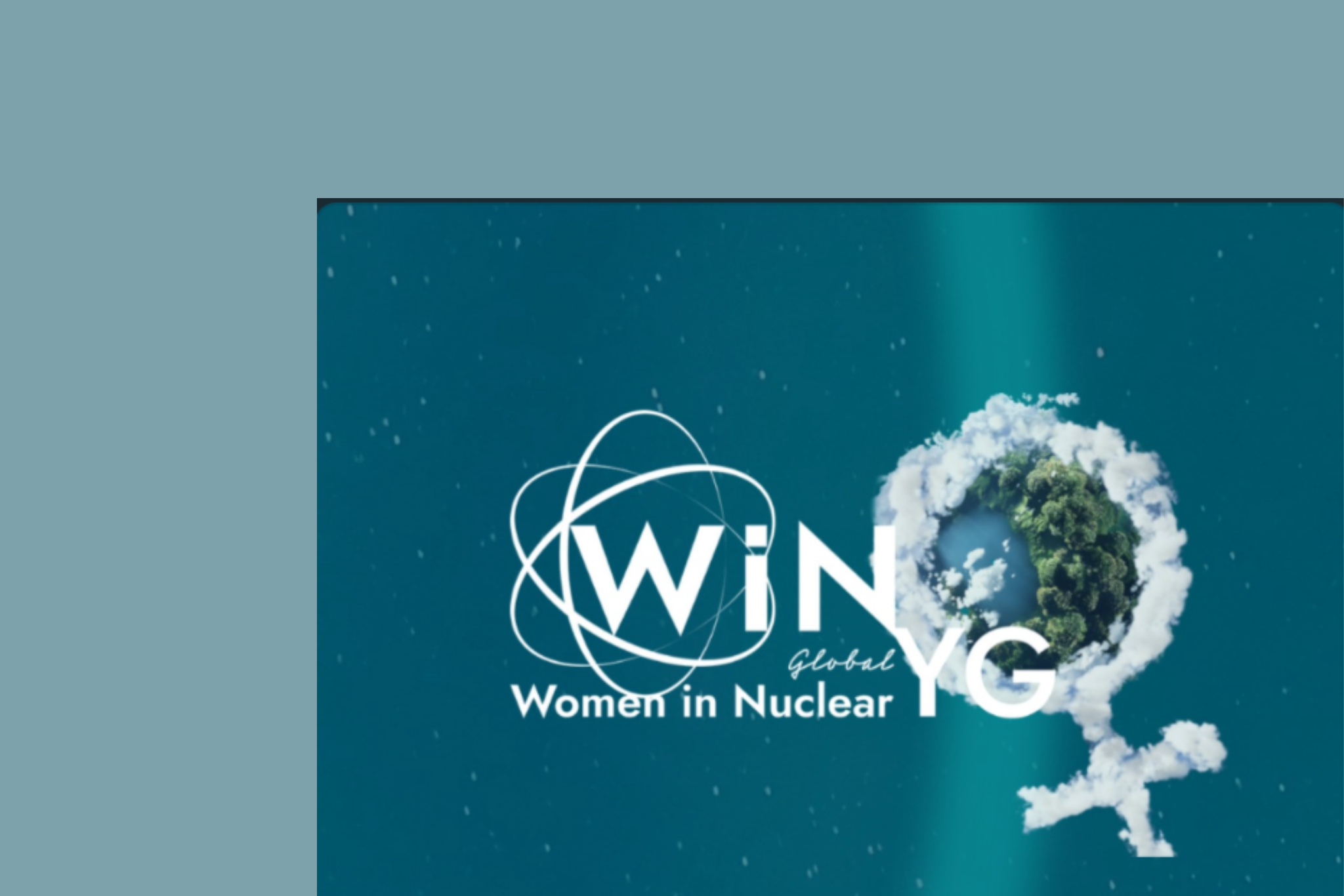 U.S. Women In Nuclear – Non Profit Organization